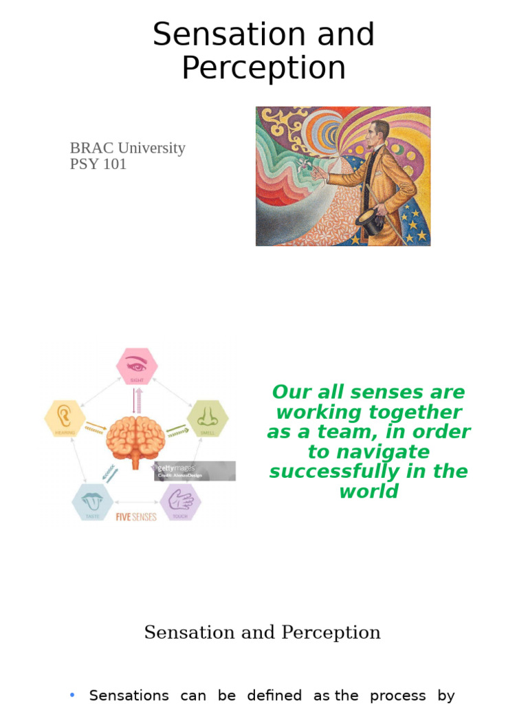 Lecture 4-Sensation and Perception | PDF | Perception | Visual Perception
