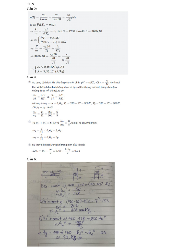 TLN | PDF