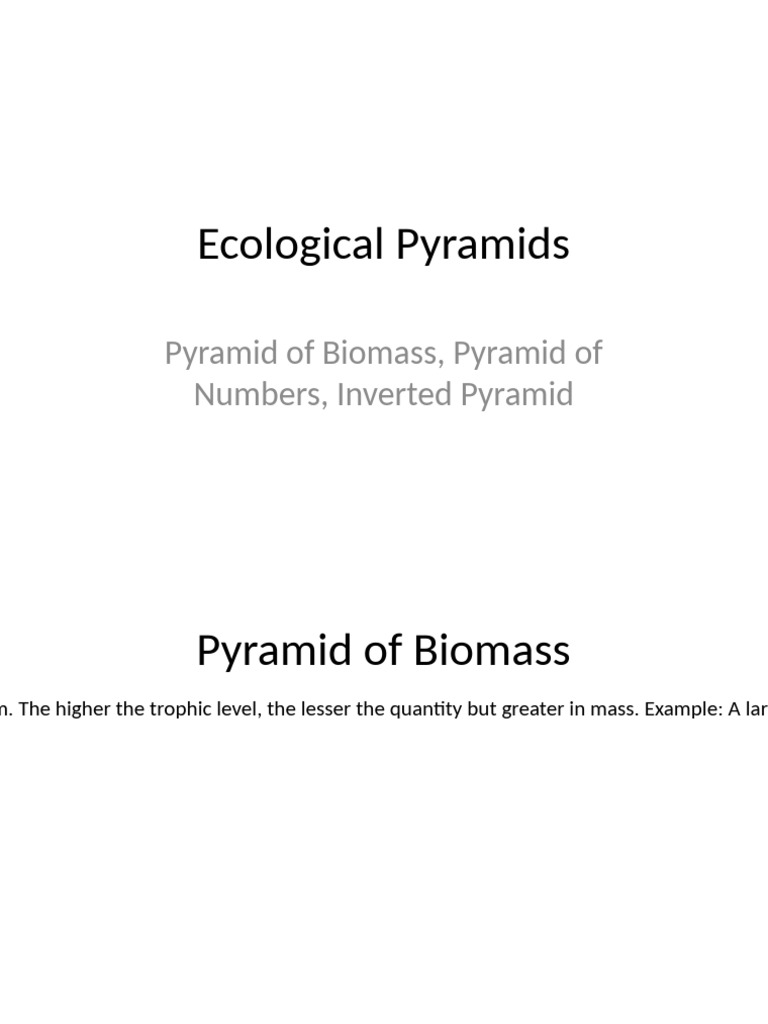 Ecological Pyramids Presentation | PDF