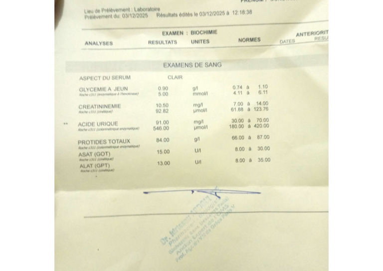 ACE Scanner_2025_12_04 | PDF