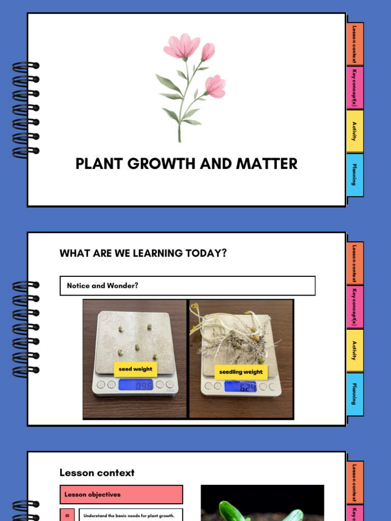 Plant Growth Lesson Presentation in Colourful Illustrative Style | PDF