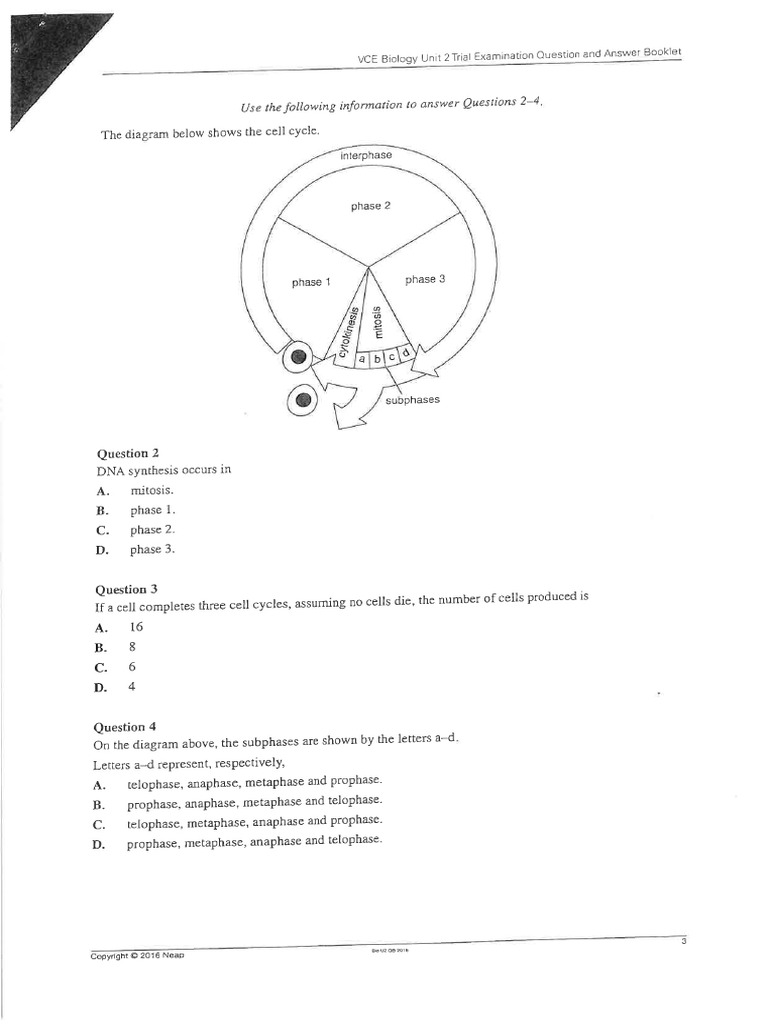 Mitosis and Binary Fission Exam Questions | PDF