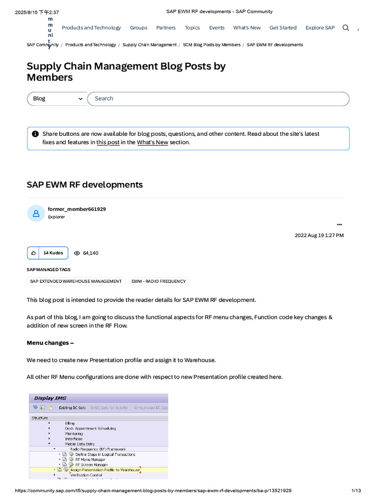 SAP EWM RF Development Insights | PDF | Menu (Computing) | Computing