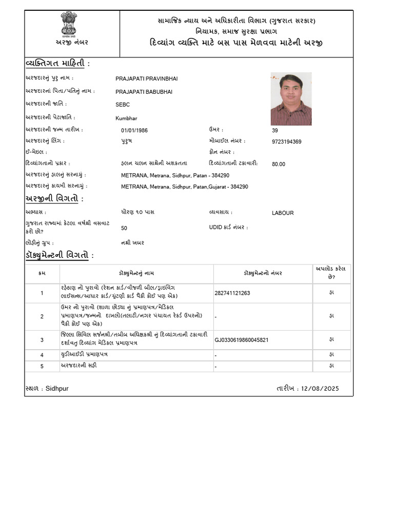 Phid Bus Pass Application Report | PDF