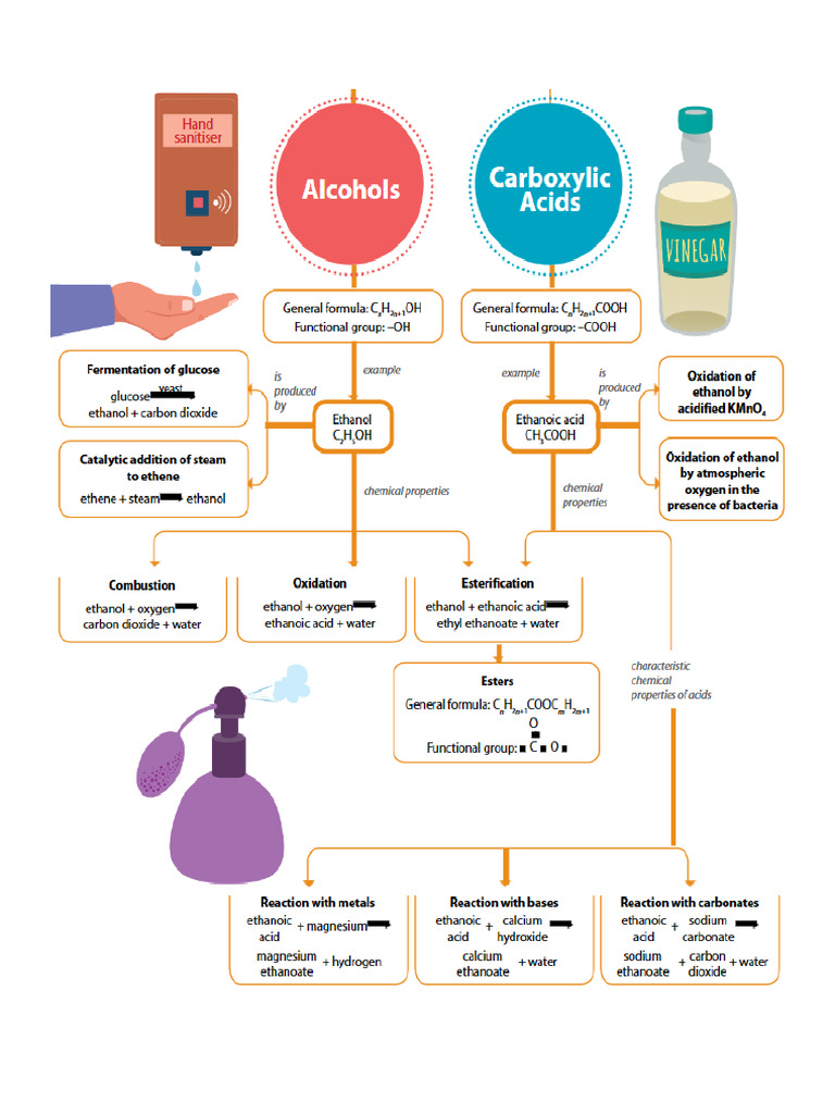 20 Alcohol and Carboxylic Acid | PDF