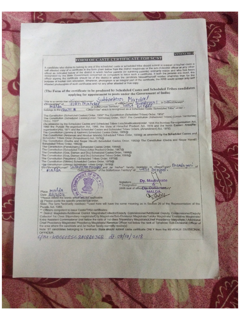My Documents | PDF