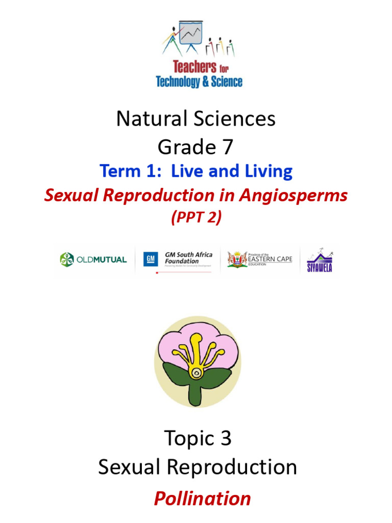 8 GR 7 T1 Topic 3 PPT 2-Pollination | PDF | Flowers | Pollination