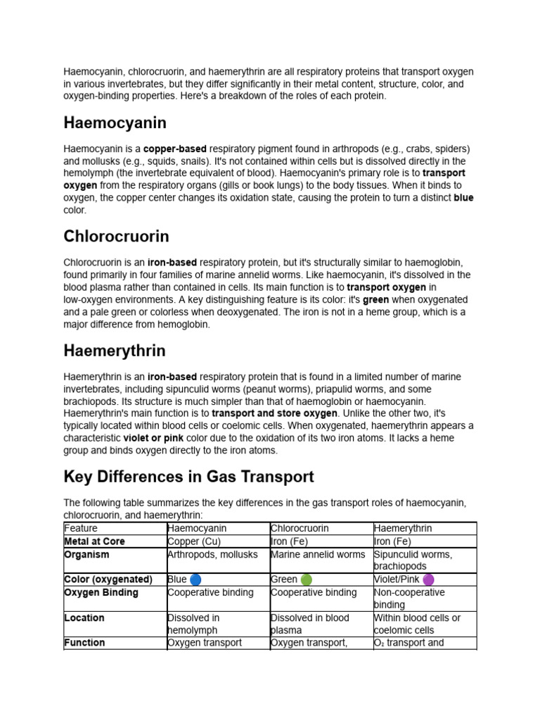 Comparing Invertebrate Respiratory Proteins | PDF | Hemoglobin | Blood