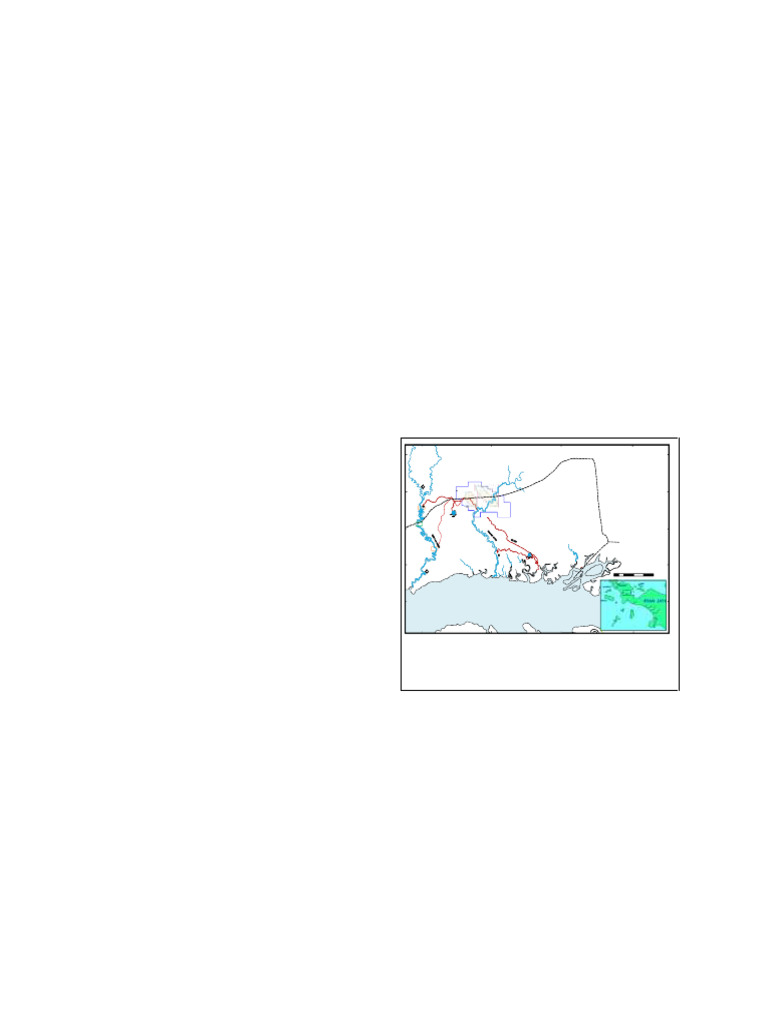 Mogoi Wasian Fields Geology Overview | PDF | Petroleum Geology | Petroleum