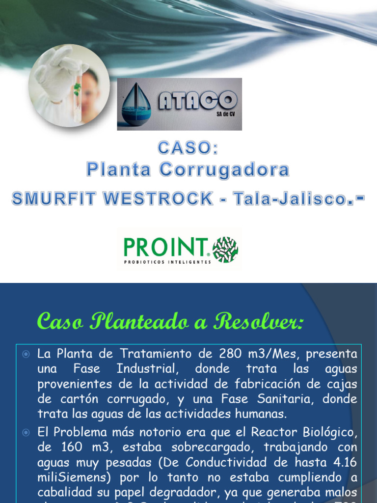 Smurfit Westrock Tala - 2025 - Ataco-Proint - 251105 - 164822 | PDF ...