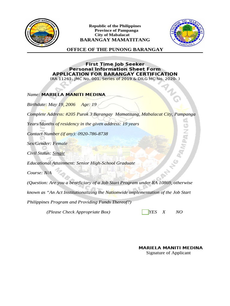 First Time Job Seeker Application Form | PDF