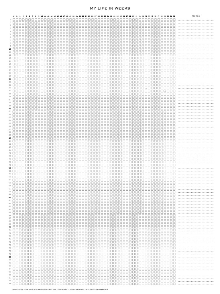 Life in Weeks Visualization Guide | PDF