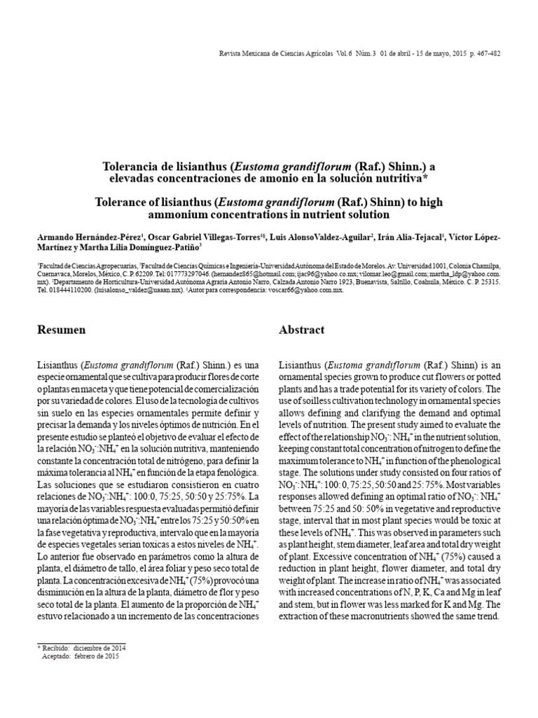 amonio Armando | PDF