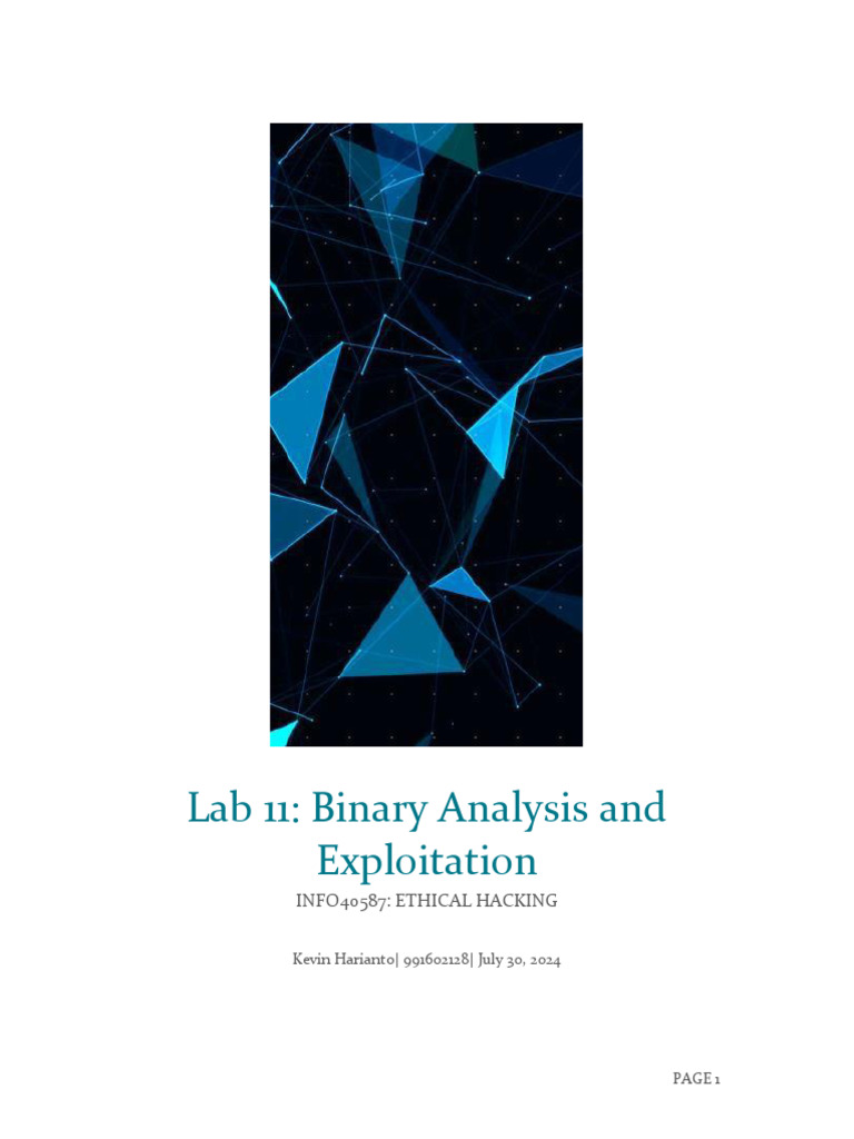 Lab Report 11 Binary Analysis and Exploitation | PDF