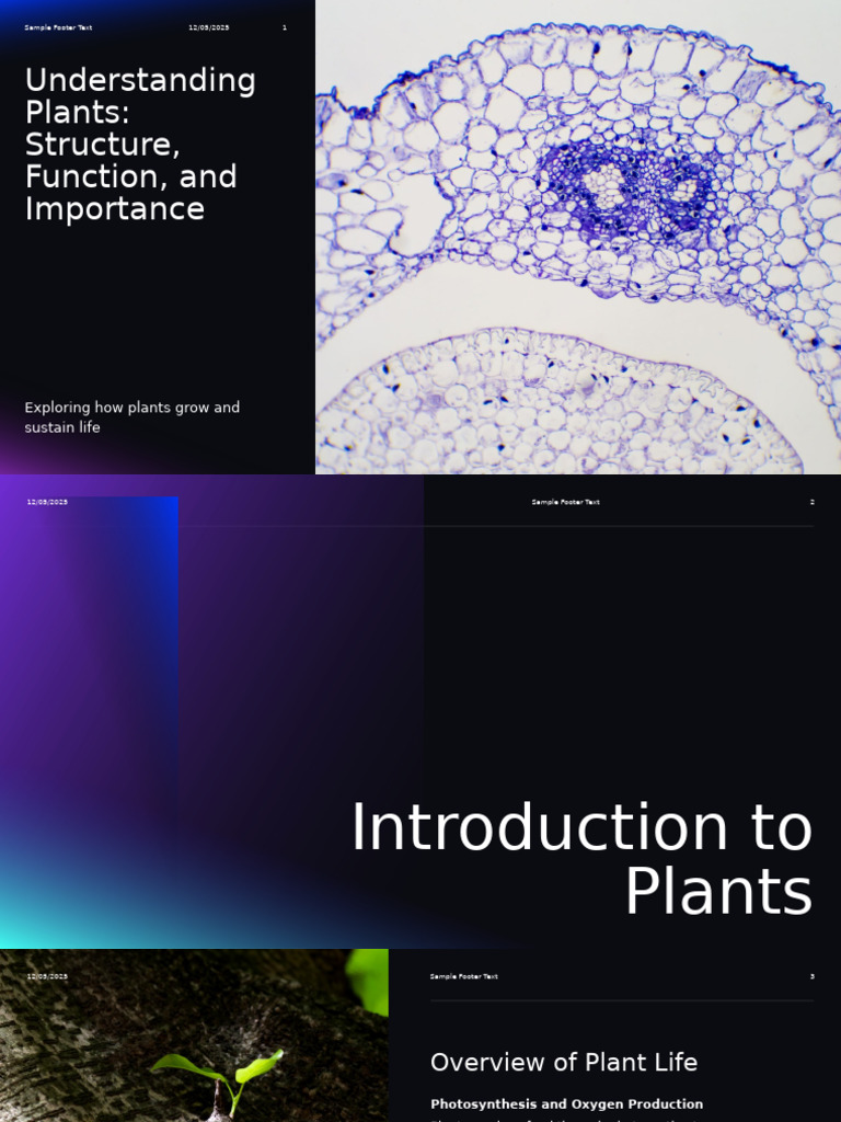 Plant Summary Presentation | PDF | Plants | Ecosystem