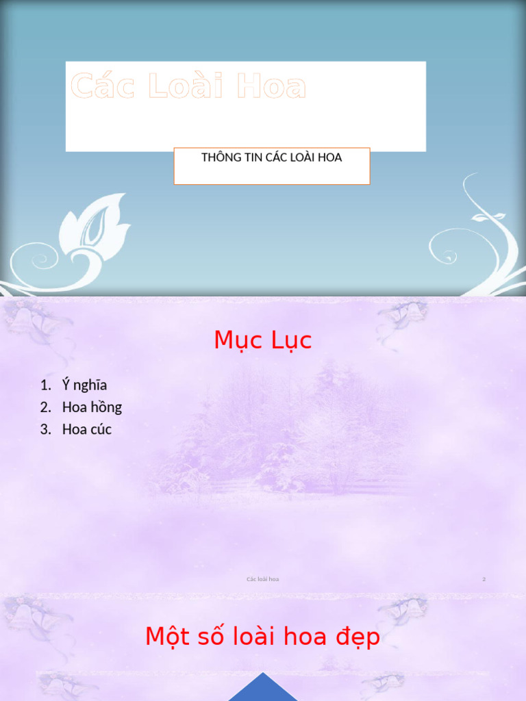 Các Loài Hoa | PDF