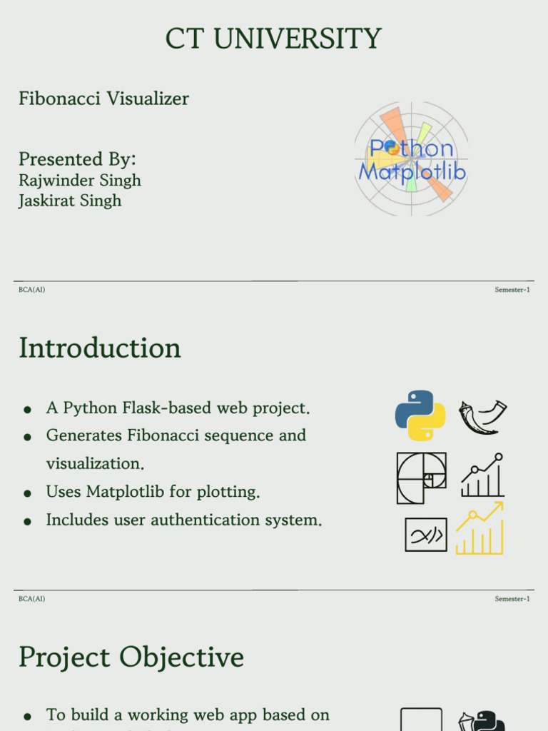 Python Project PPT | PDF
