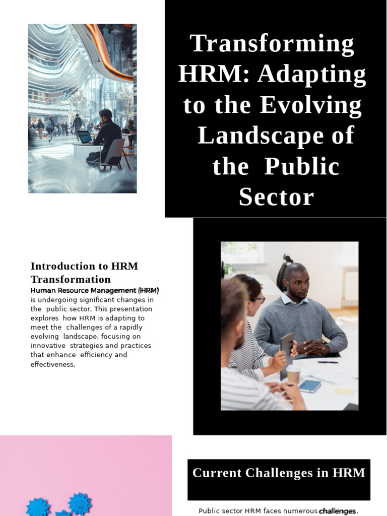 Evolving HRM Strategies in Public Sector | PDF | Human Resource ...