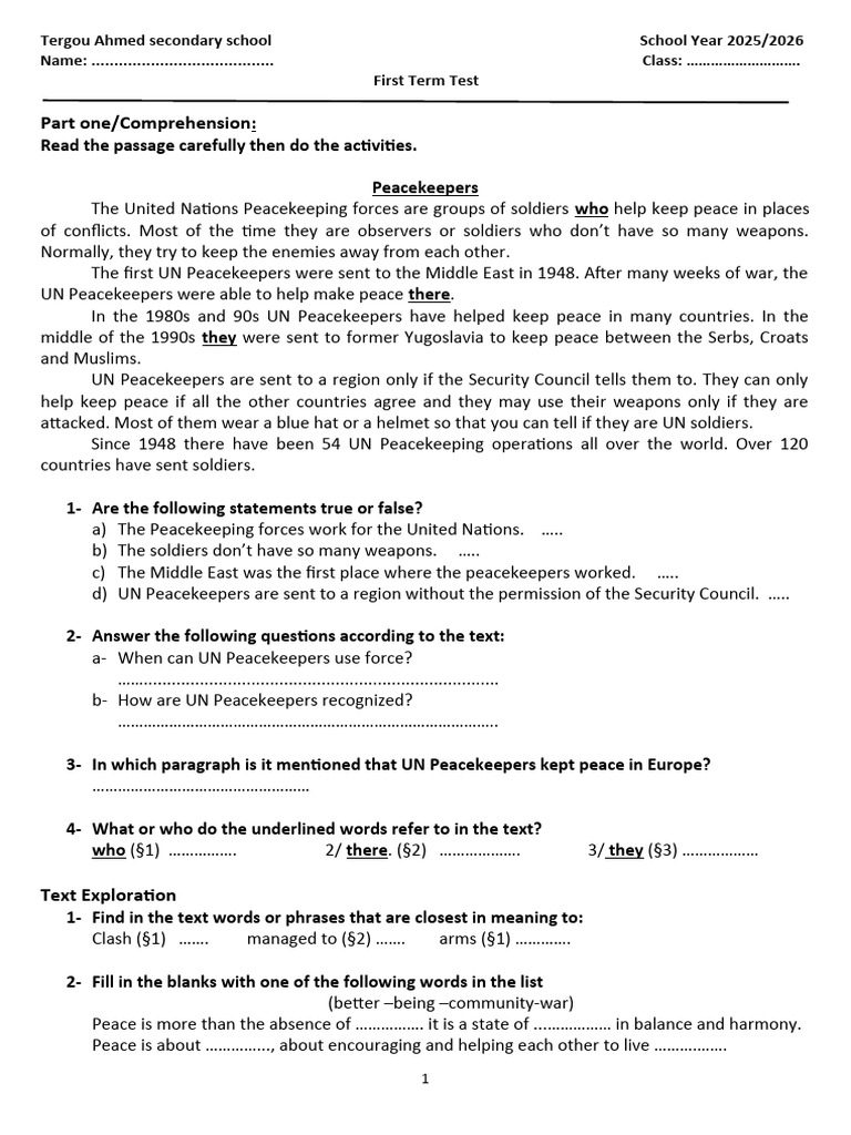 Make Peace Test | PDF | Peacekeeping | United Nations Security Council