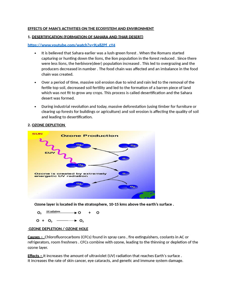 Our Environment - Notes and QA | PDF | Decomposition | Ozone Depletion