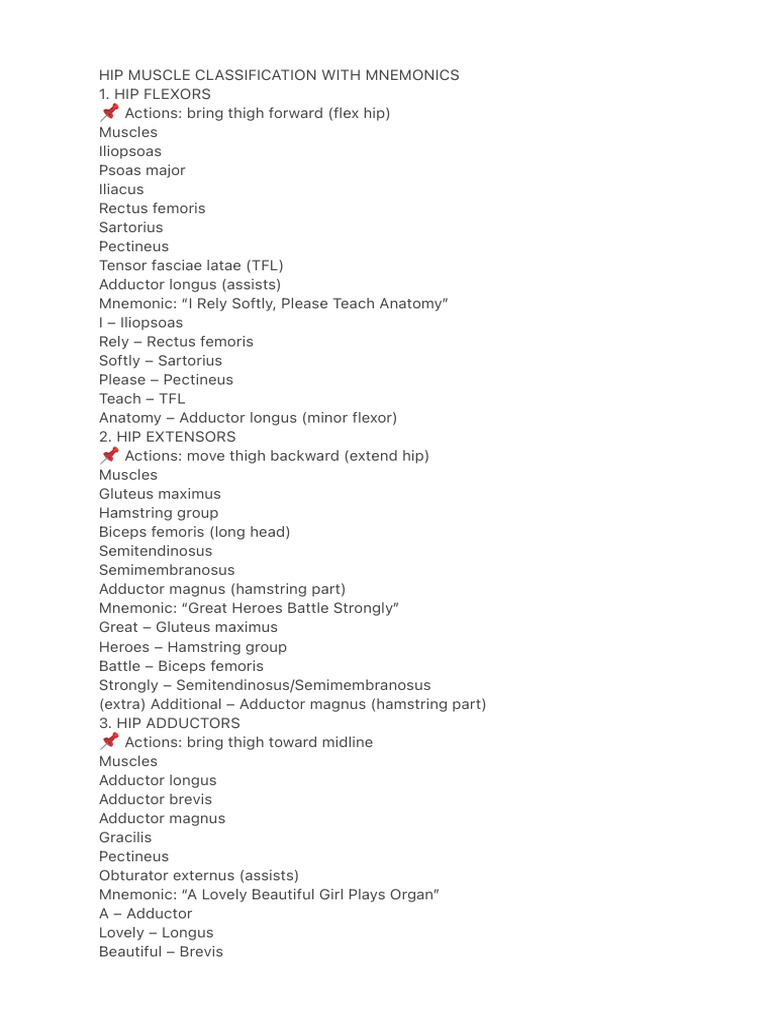 Hip Muscle Classification With Mnemonics | PDF