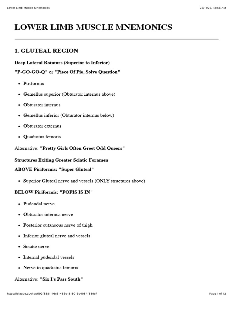 Lower Limb Muscle Mnemonics Guide | PDF | Human Leg | Foot
