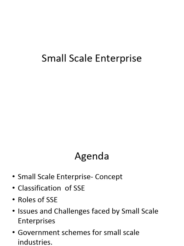 11-Small Scale Enterprise | PDF
