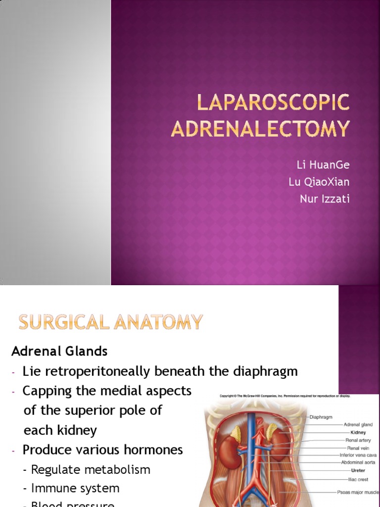 Laparoscopic Adrenalectomy | PDF | Adrenal Gland | Surgery