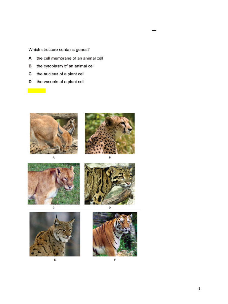Grade 6 Science Revision Sheet | PDF | Biology | Zoology