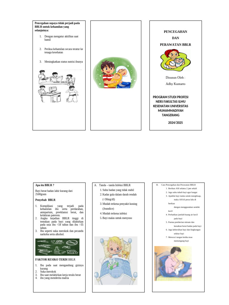 Leaflet_BBLR | PDF