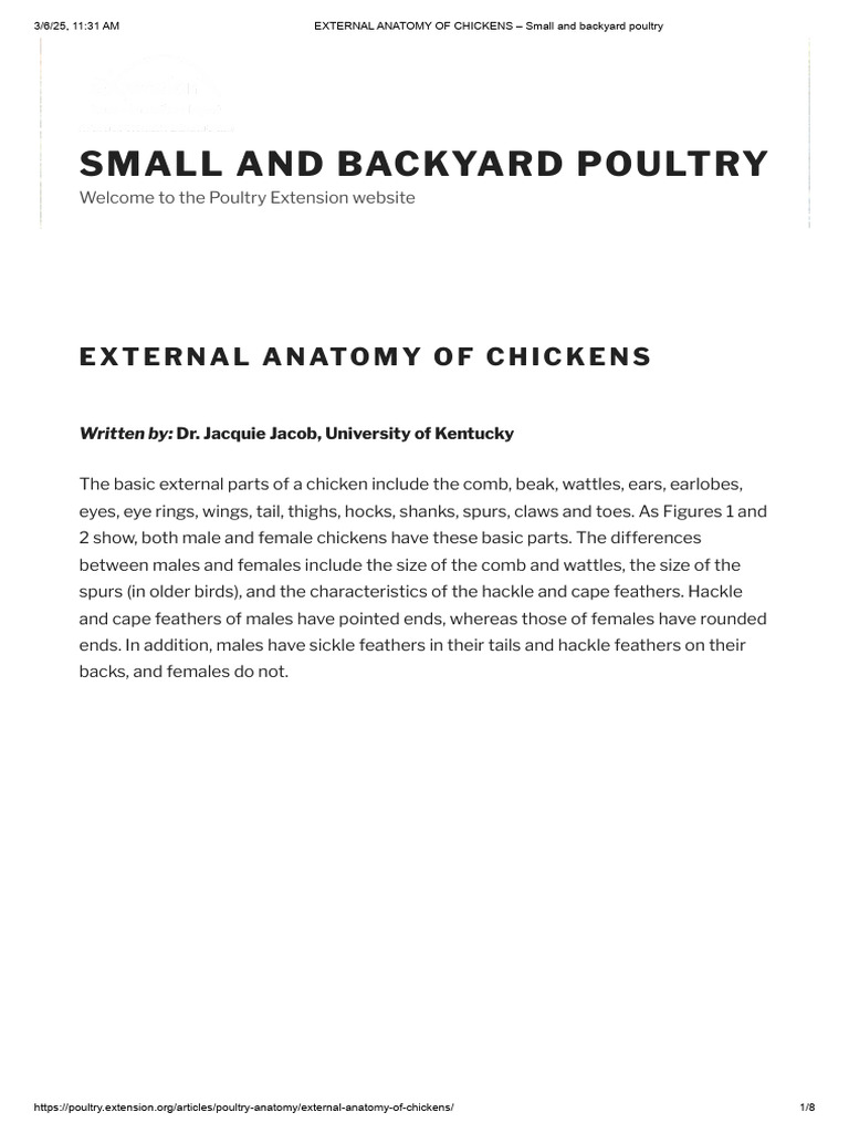 EXTERNAL ANATOMY OF POULTRY | PDF | Feather | Poultry