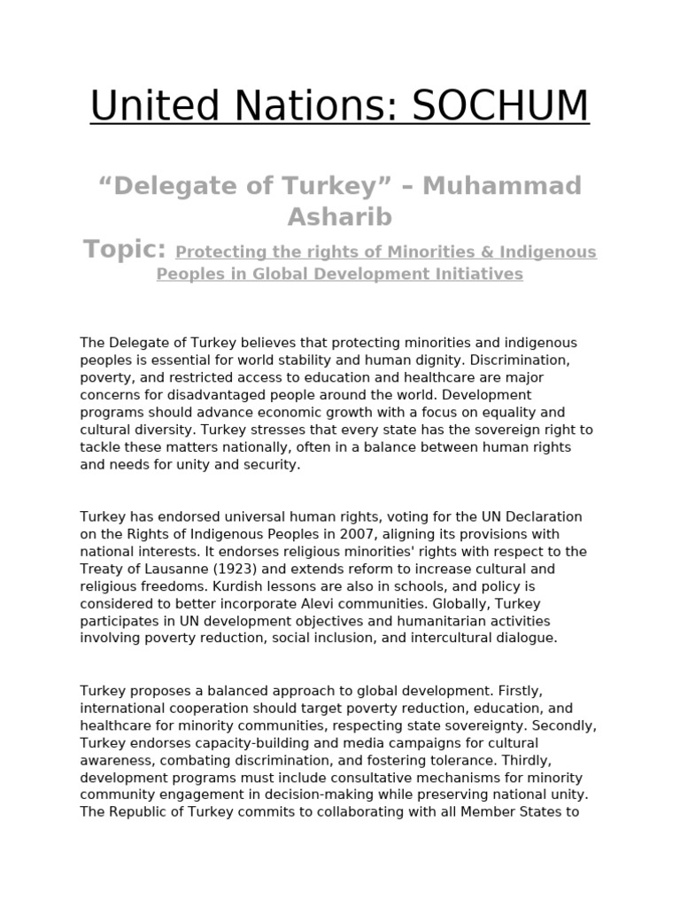 United Nations SOCHUM Position Paper TURKEY | PDF