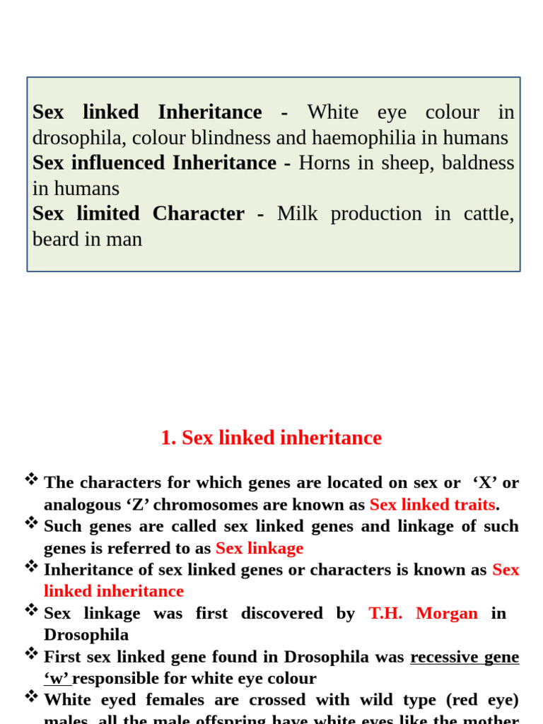 3.Sex Linkage Inheritance | PDF | Zygosity | Dominance (Genetics)
