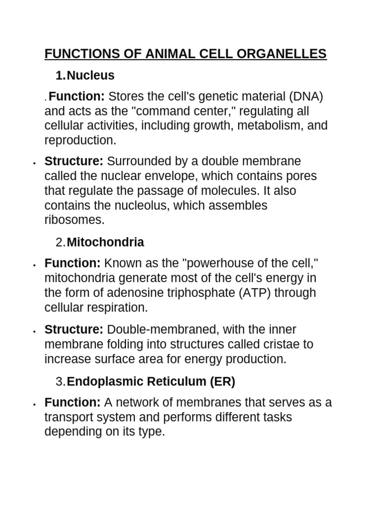 Functions of Animal Cell Organelles | PDF | Endoplasmic Reticulum ...
