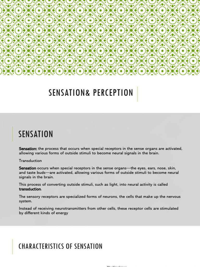 Sensation & Perception UNIT - 1 | PDF | Perception | Senses