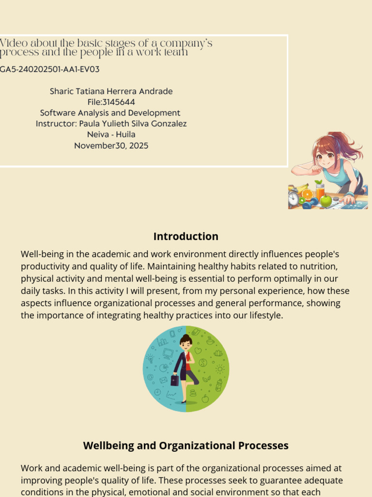 Video About The Basic Stages of A Companys Process and The People in A ...