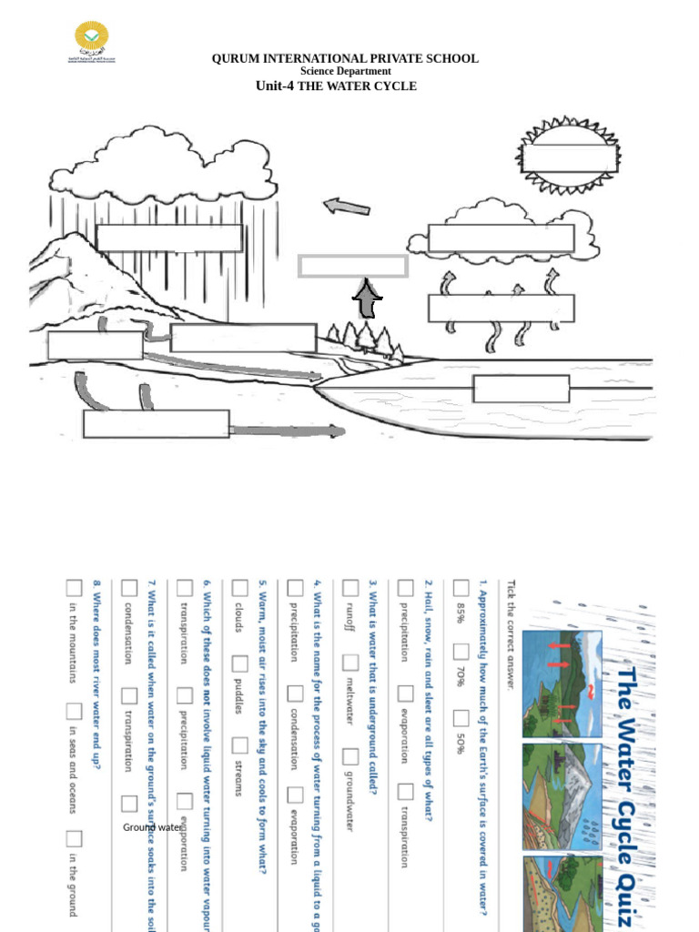 Water Cycle and Groundwater Insights | PDF