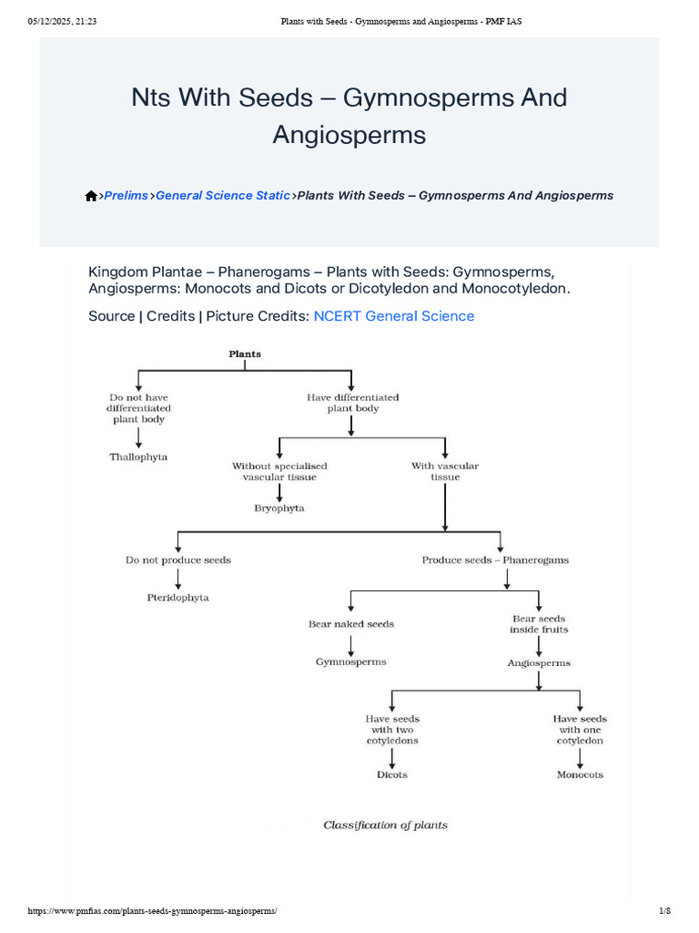 Gymnosperms and Angiosperms Overview | PDF | Flowers | Seed