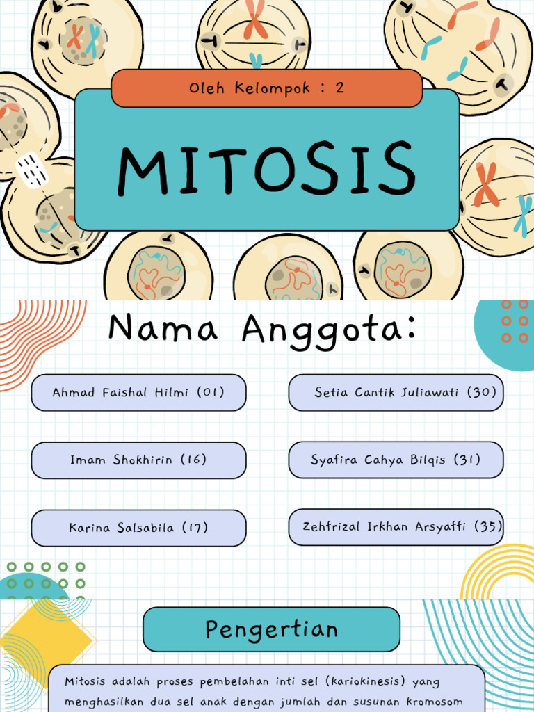 Mitosis | PDF