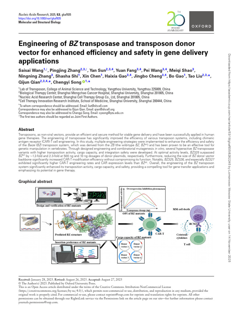 Engineering of BZ Transposase and Transposon Donor Vector For Enhanced ...
