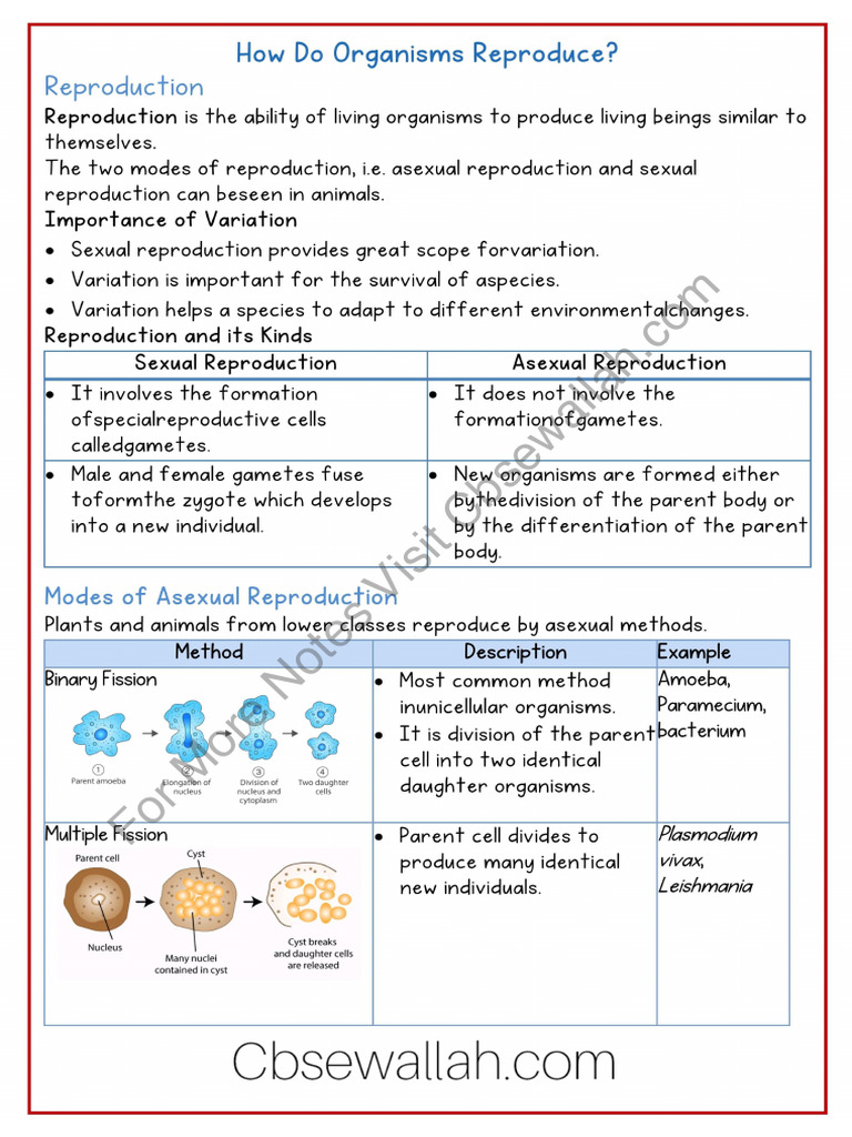 Chapter - 3 How - Do - Organisms - Reproduce | PDF