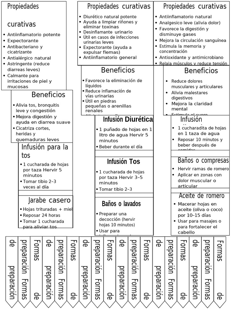 Doc3 | PDF | Especialidades Medicas