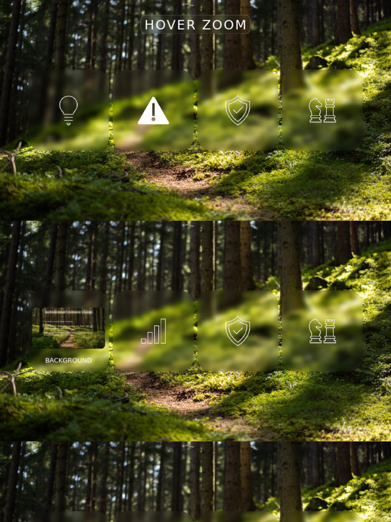 Hover Zoom PowerPoint | PDF