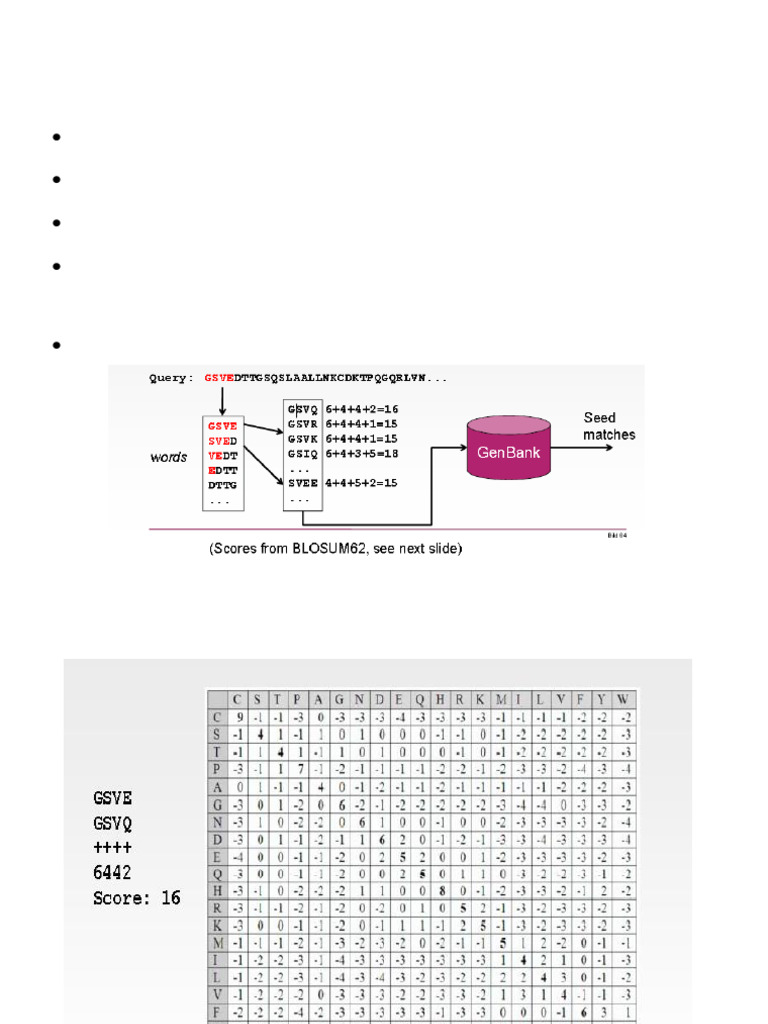 Blast | PDF | Sequence Alignment | Computational Biology