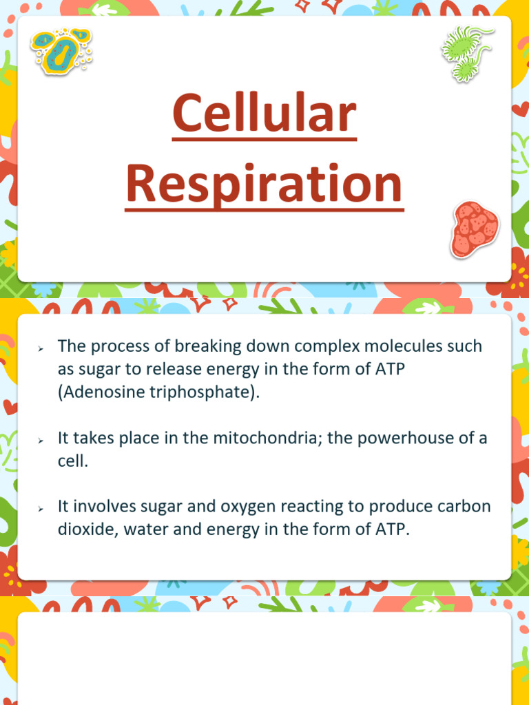 Cellular Respiration | PDF