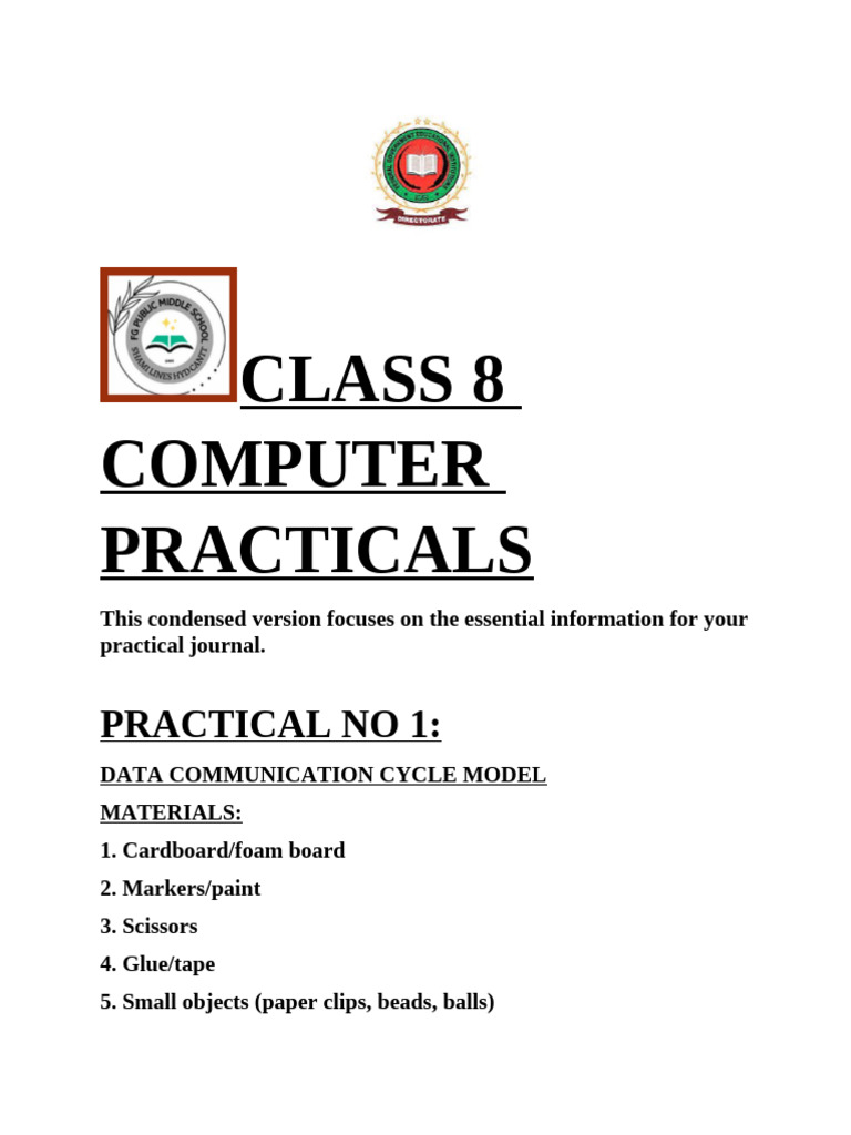 Class 8 Computer Practicals | PDF