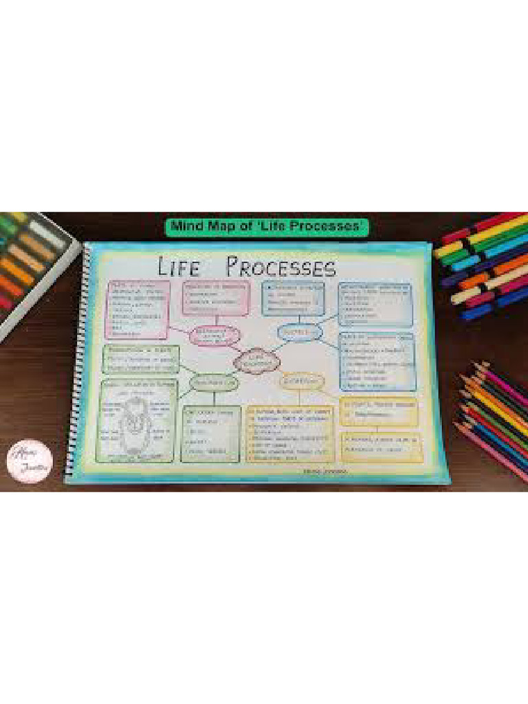 Life Processes | PDF