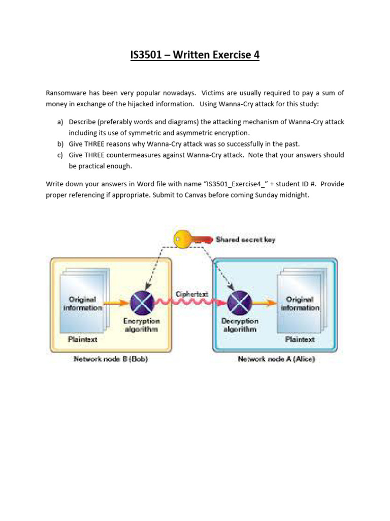 IS3501 2023A Exercise4 | PDF