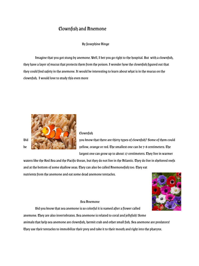 Josephine Ainge - Symbiotic Relationships in Animals (1) | PDF ...