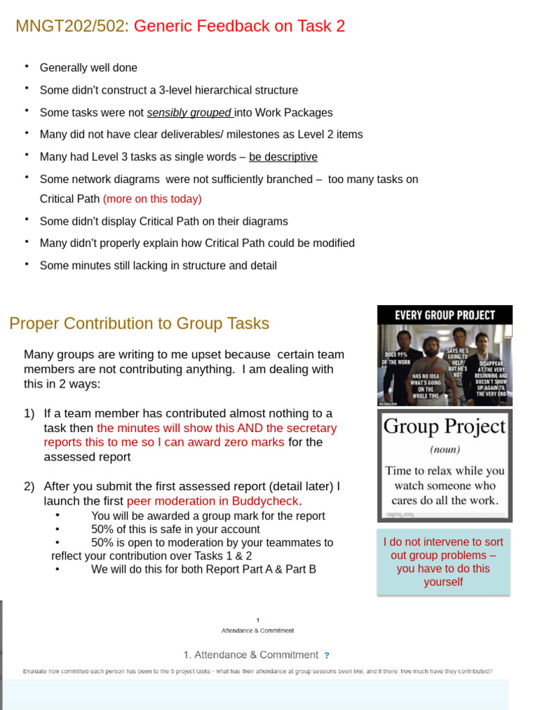 Project Management Feedback & Guidelines | PDF | Project Management